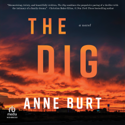 Book Review: The Dig – Kristen's Book Korner