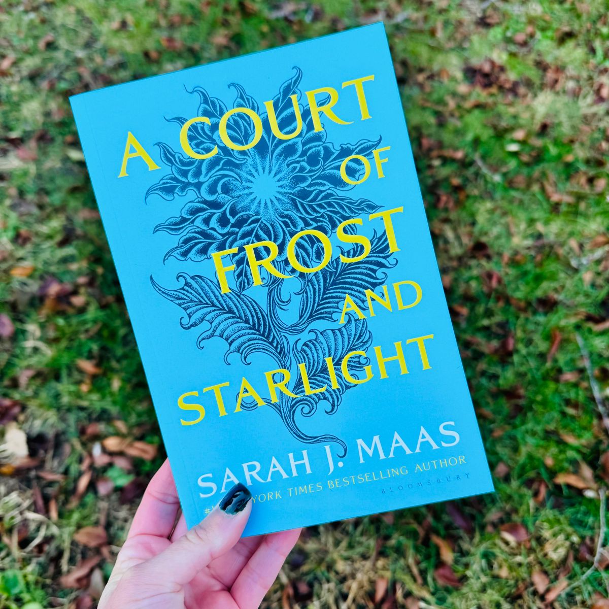 Book Review: A Court of Frost and Starlight – Kristen's Book Korner